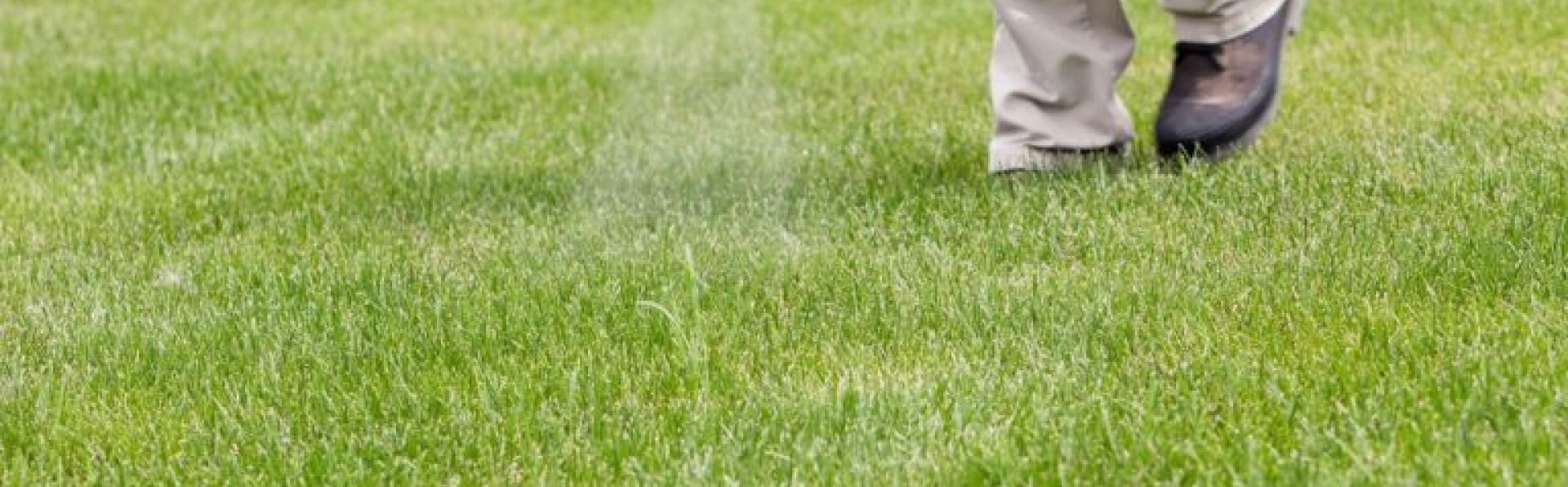 Weed spraying begins Monday, May 11, 2020 | Town of Coaldale